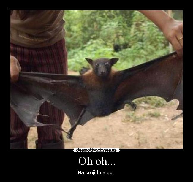 Imágenes y Carteles de MURCIELAGO Pag. 4 | Desmotivaciones
