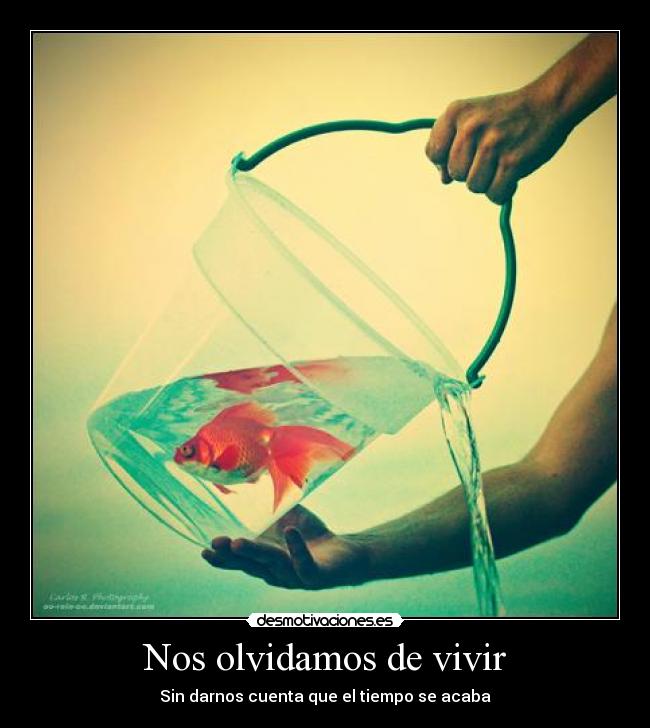 Imágenes y Carteles de ACABAR Pag. 81 | Desmotivaciones