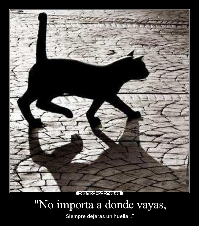 Imágenes y Carteles de HUELLAS Pag. 32 | Desmotivaciones