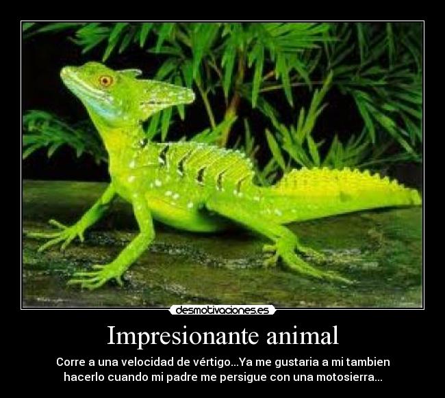 Imágenes y Carteles de DESMOTIVACIONES Pag. 7927 | Desmotivaciones