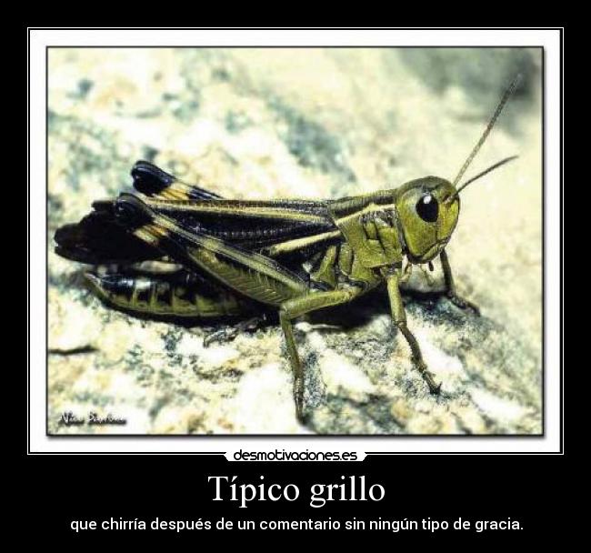 Imágenes y Carteles de GRILLO | Desmotivaciones