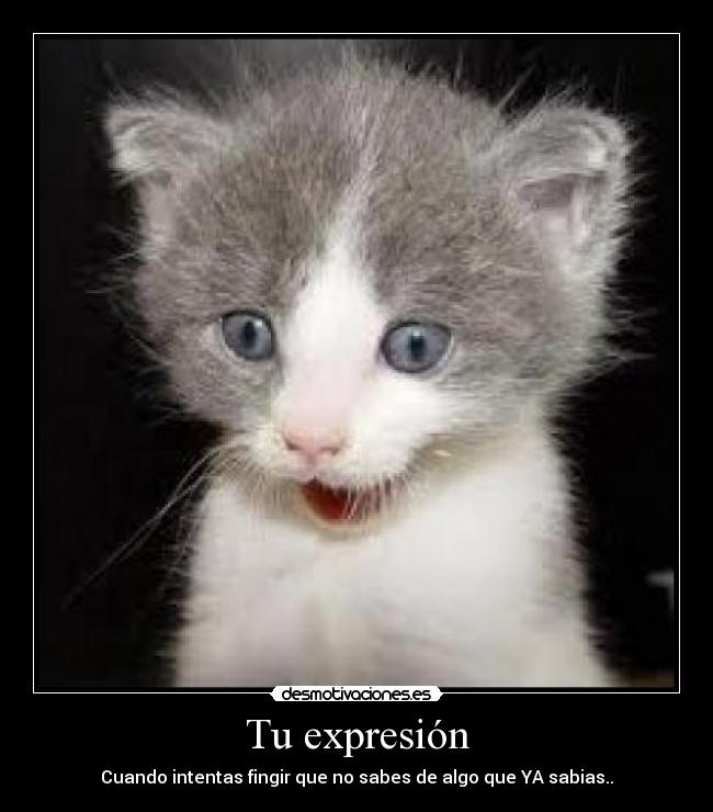 Imágenes y Carteles de TUVO Pag. 14 | Desmotivaciones