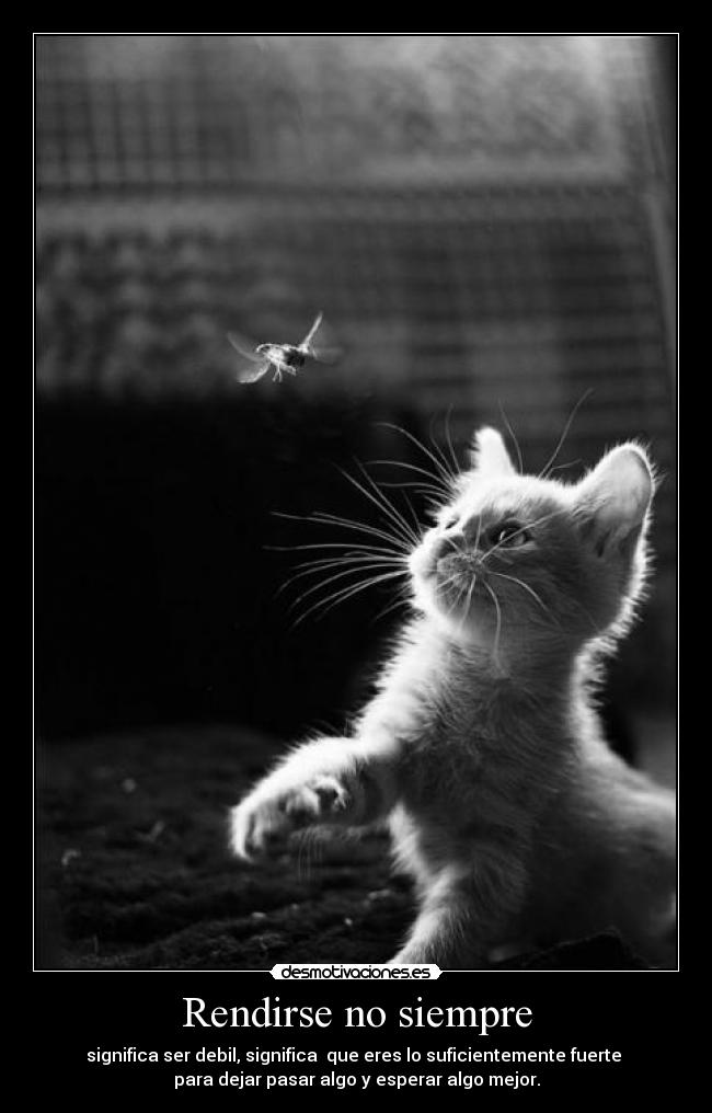 Usuario: mq. | Desmotivaciones