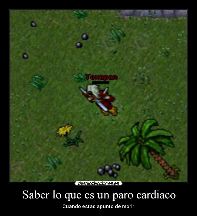 Imágenes y Carteles de TIBIA Pag. 4 | Desmotivaciones