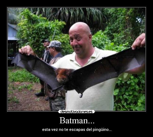 Imágenes y Carteles de MURCIELAGO Pag. 4 | Desmotivaciones