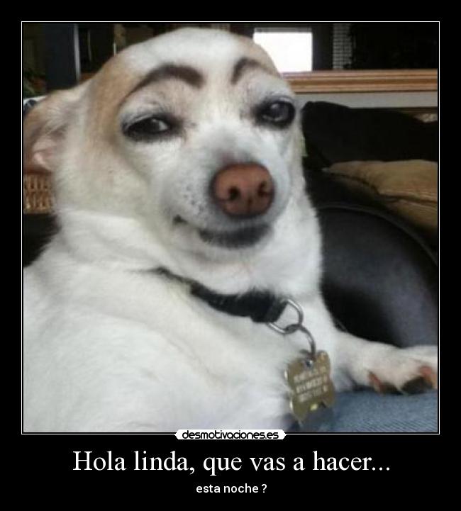 Imágenes y Carteles de BNNBN | Desmotivaciones