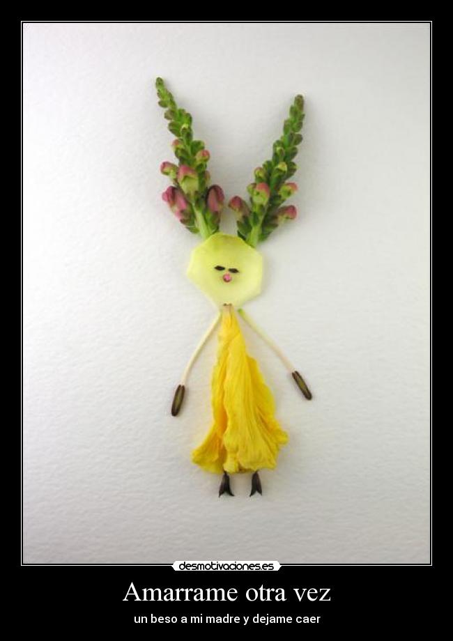 Imágenes y Carteles de CONVINA | Desmotivaciones