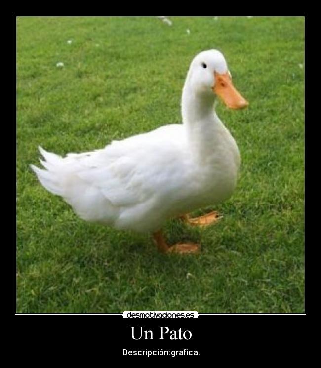 Usuario: Jony_94 | Desmotivaciones