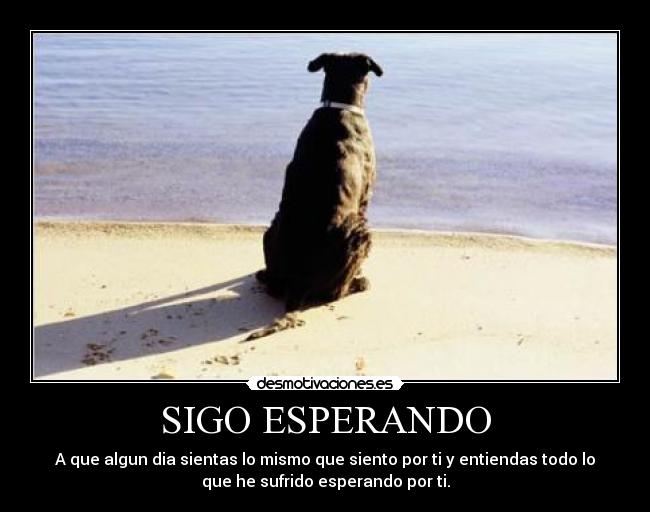 SIGO ESPERANDO | Desmotivaciones