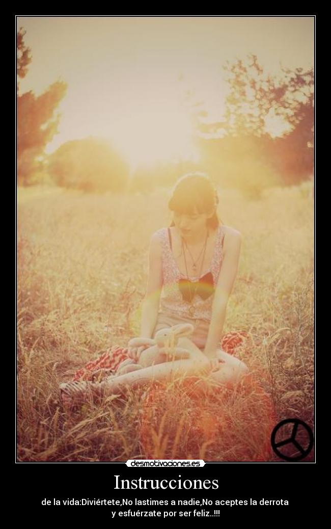 Imágenes y Carteles de INSTRUCCIONES Pag. 4 | Desmotivaciones