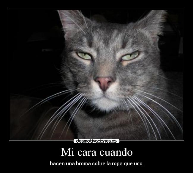 Usuario: NYADA | Desmotivaciones