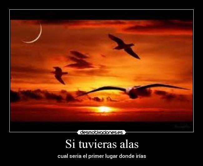 Imágenes y Carteles de VOLAR Pag. 275 | Desmotivaciones