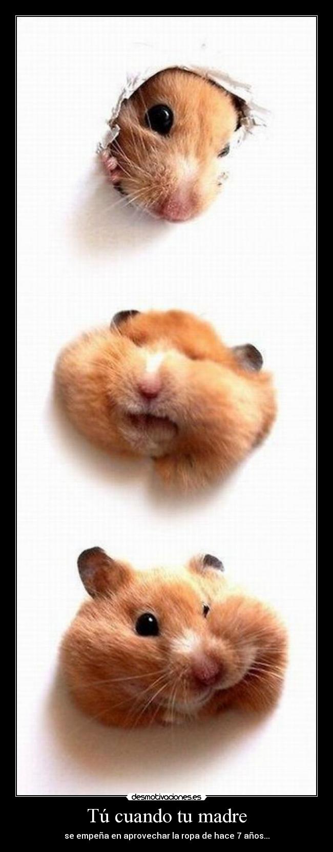 Tú cuando tu madre | Desmotivaciones