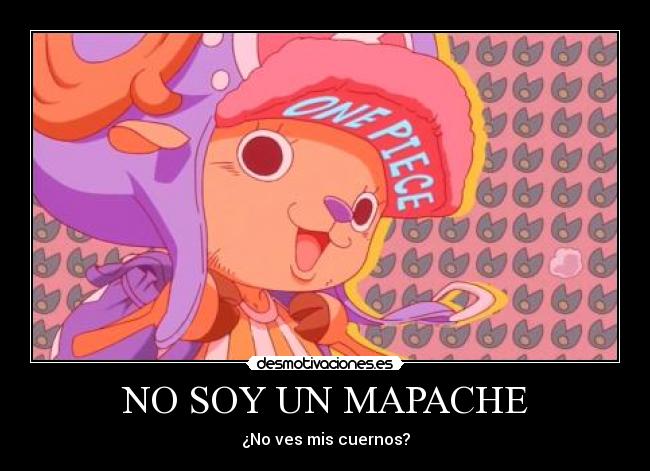 NO SOY UN MAPACHE | Desmotivaciones
