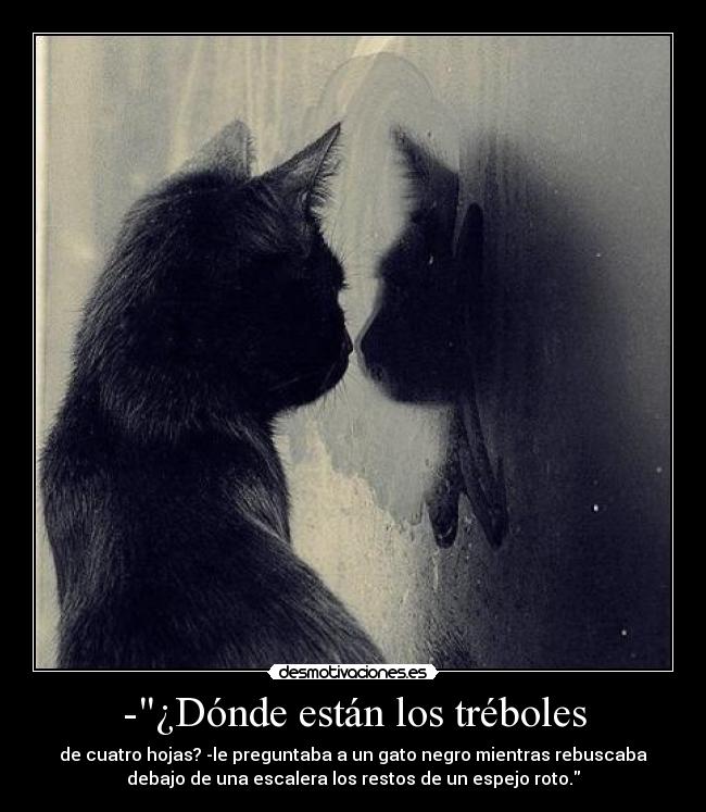 Usuario: desmotivada1807 | Desmotivaciones