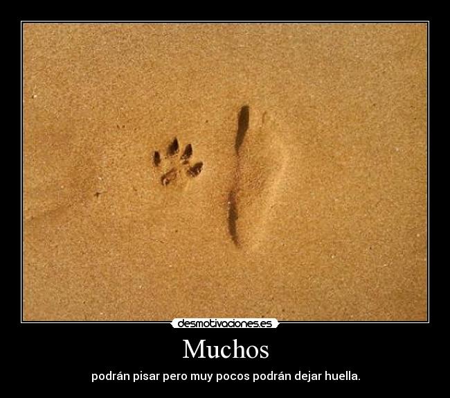 Imágenes y Carteles de HUELLA Pag. 13 | Desmotivaciones