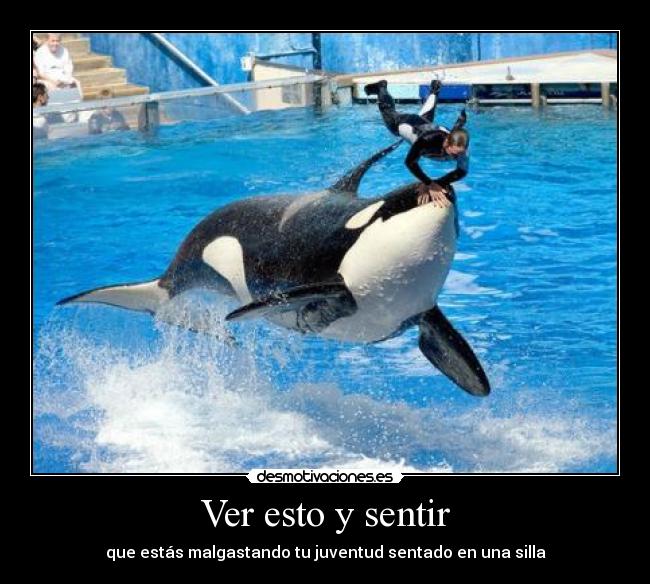 Imágenes y Carteles de ESTUDIANDO Pag. 4 | Desmotivaciones