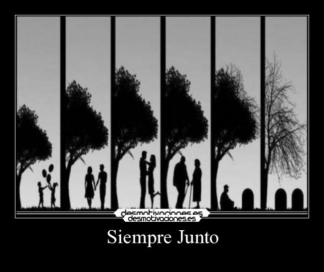 Imágenes y Carteles de ROMANTICA Pag. 14 | Desmotivaciones