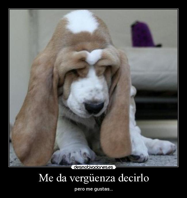 Usuario: NYADA | Desmotivaciones