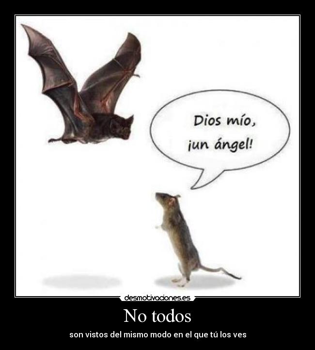 Imágenes y Carteles de MURCIELAGO Pag. 2 | Desmotivaciones