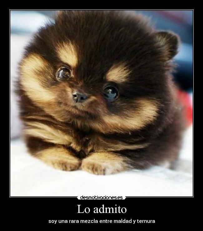 Usuario: NYADA | Desmotivaciones