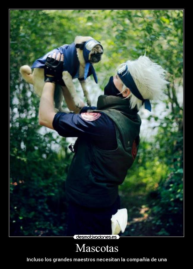 Imágenes y Carteles de MAESTRO Pag. 30 | Desmotivaciones