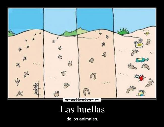 Imágenes y Carteles de HUELLAS Pag. 11 | Desmotivaciones