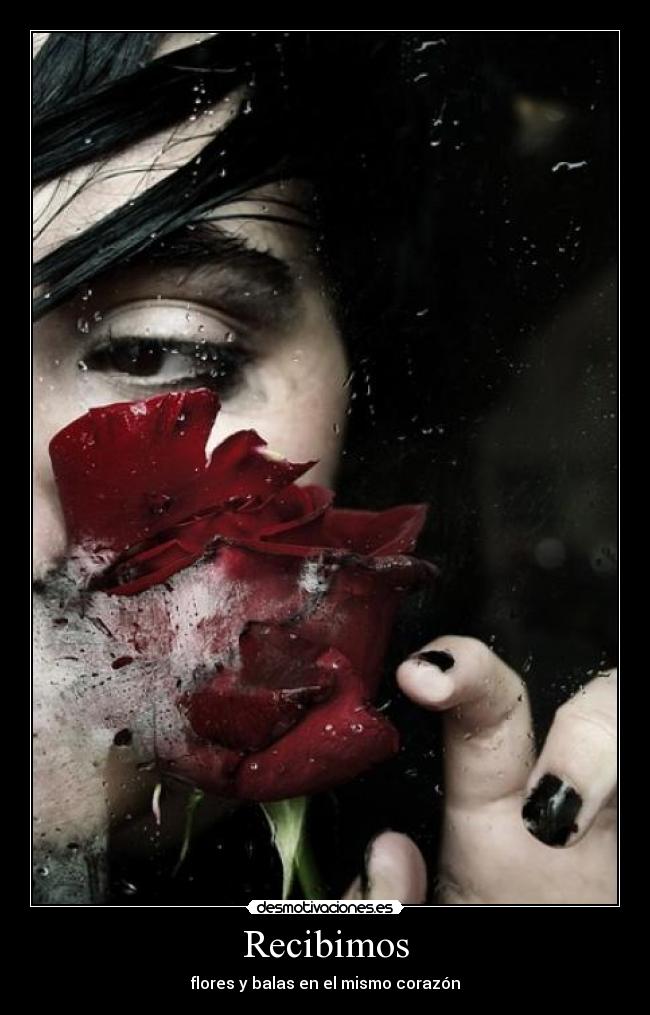 Imágenes y Carteles de AMOR Pag. 21446 | Desmotivaciones