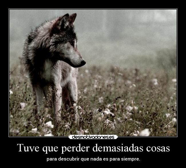 Usuario: Dango-chan ;3 | Desmotivaciones