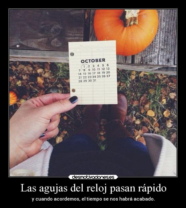 Imágenes y Carteles de HABER Pag. 12 | Desmotivaciones