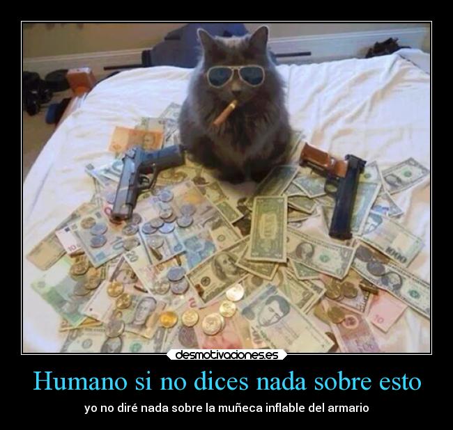 Imágenes y Carteles de GRACIOSAS Pag. 267 | Desmotivaciones