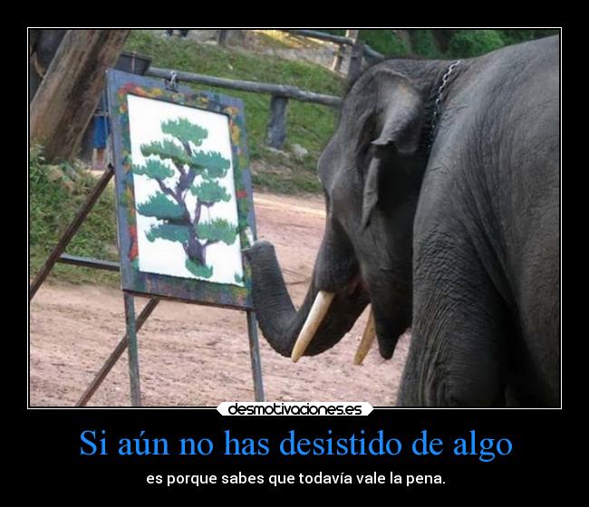 Imágenes y Carteles de DESISTIR | Desmotivaciones