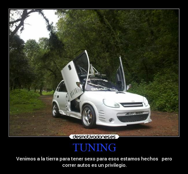 Imágenes y Carteles de ALMA Pag. 4946 | Desmotivaciones