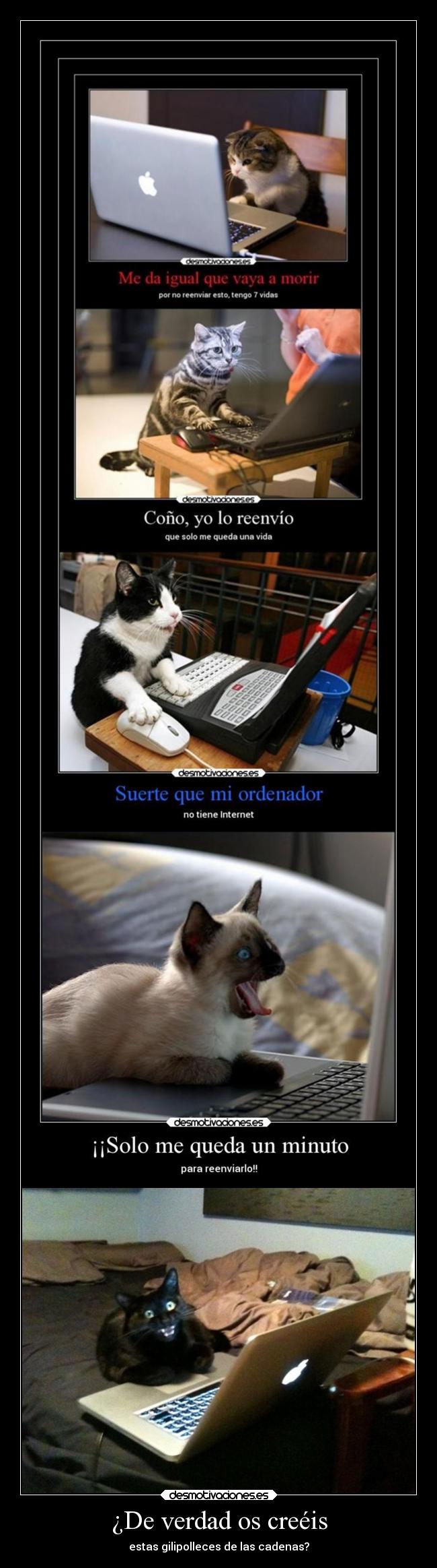 Imágenes y Carteles de GRACIOSAS Pag. 123 | Desmotivaciones