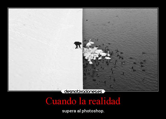 Imágenes y Carteles de MOTIVACIONES Pag. 14 | Desmotivaciones