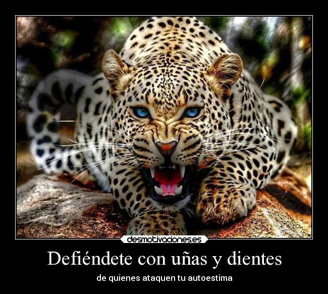 Imágenes y Carteles de AUTOESTIMAA | Desmotivaciones