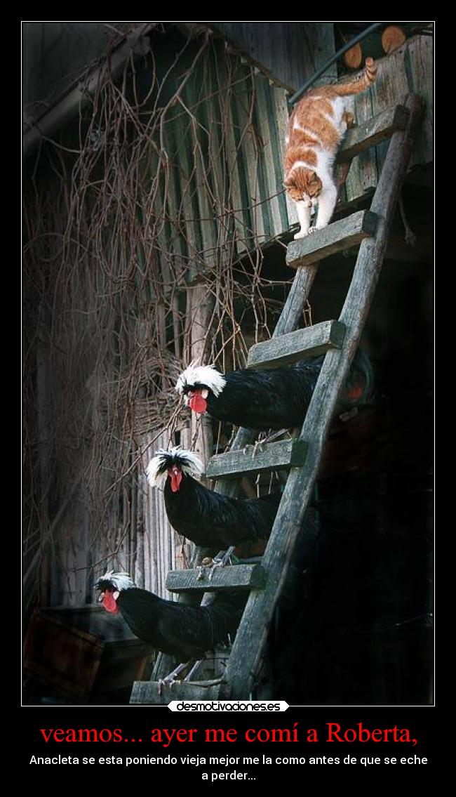 Imágenes y Carteles de GRACIOSAS Pag. 637 | Desmotivaciones