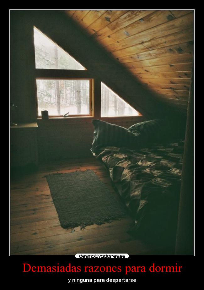 Demasiadas razones para dormir | Desmotivaciones