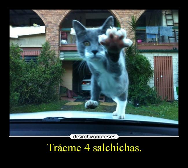 Imágenes y Carteles de GRACIOSAS Pag. 196 | Desmotivaciones