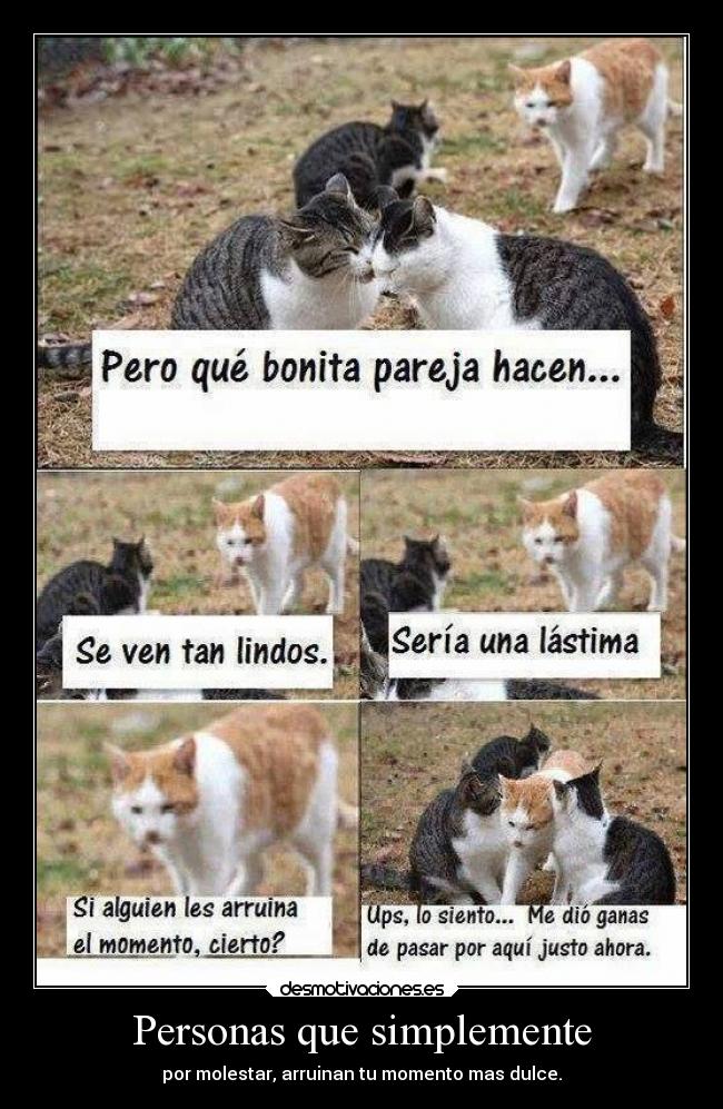 Imágenes y Carteles de GRACIOSAS Pag. 107 | Desmotivaciones