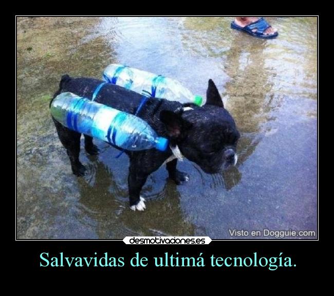 Imágenes y Carteles de GRACIOSAS Pag. 340 | Desmotivaciones