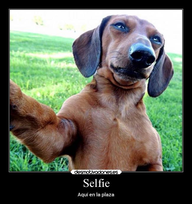 Imágenes y Carteles de GRACIOSAS Pag. 779 | Desmotivaciones