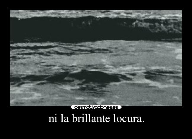 Imágenes y Carteles de ALMA Pag. 3401 | Desmotivaciones