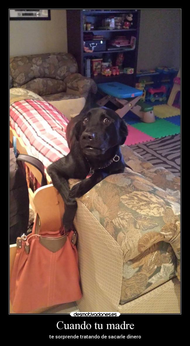 Cuando tu madre | Desmotivaciones