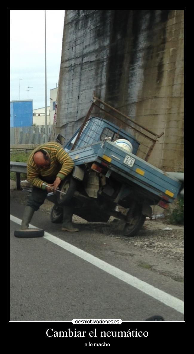 Imágenes y Carteles de GRACIOSAS Pag. 190 | Desmotivaciones
