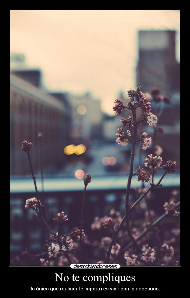 Imágenes y Carteles de PENSAMIENTOS Pag. 12 | Desmotivaciones