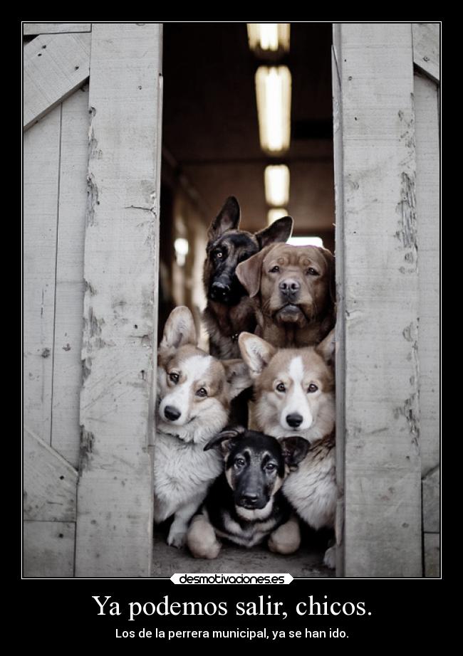 Imágenes y Carteles de GRACIOSAS Pag. 179 | Desmotivaciones