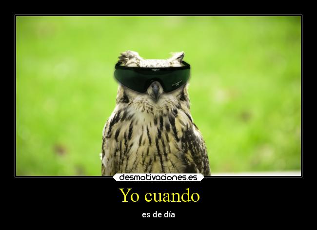 Imágenes y Carteles de GRACIOSAS Pag. 779 | Desmotivaciones