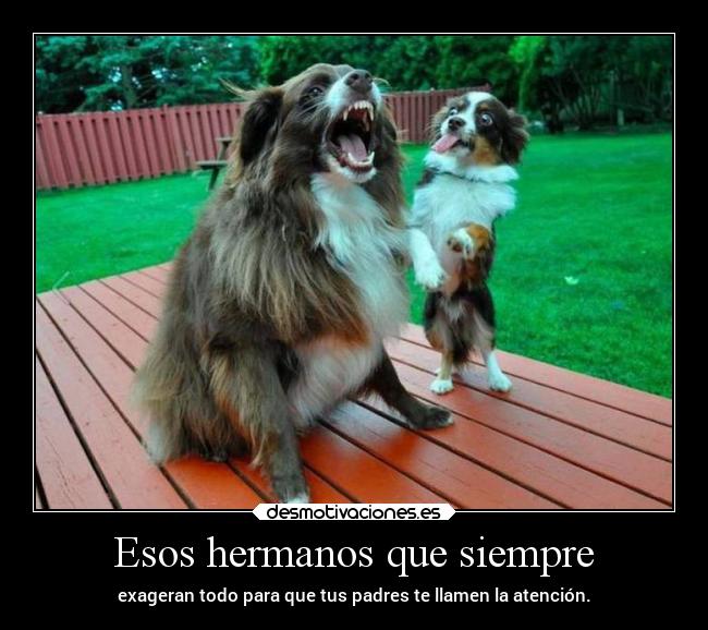 Imágenes y Carteles de GRACIOSAS Pag. 93 | Desmotivaciones