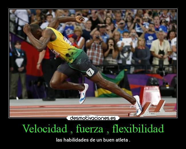 Imágenes y Carteles de MOTIVACIONES Pag. 951 | Desmotivaciones